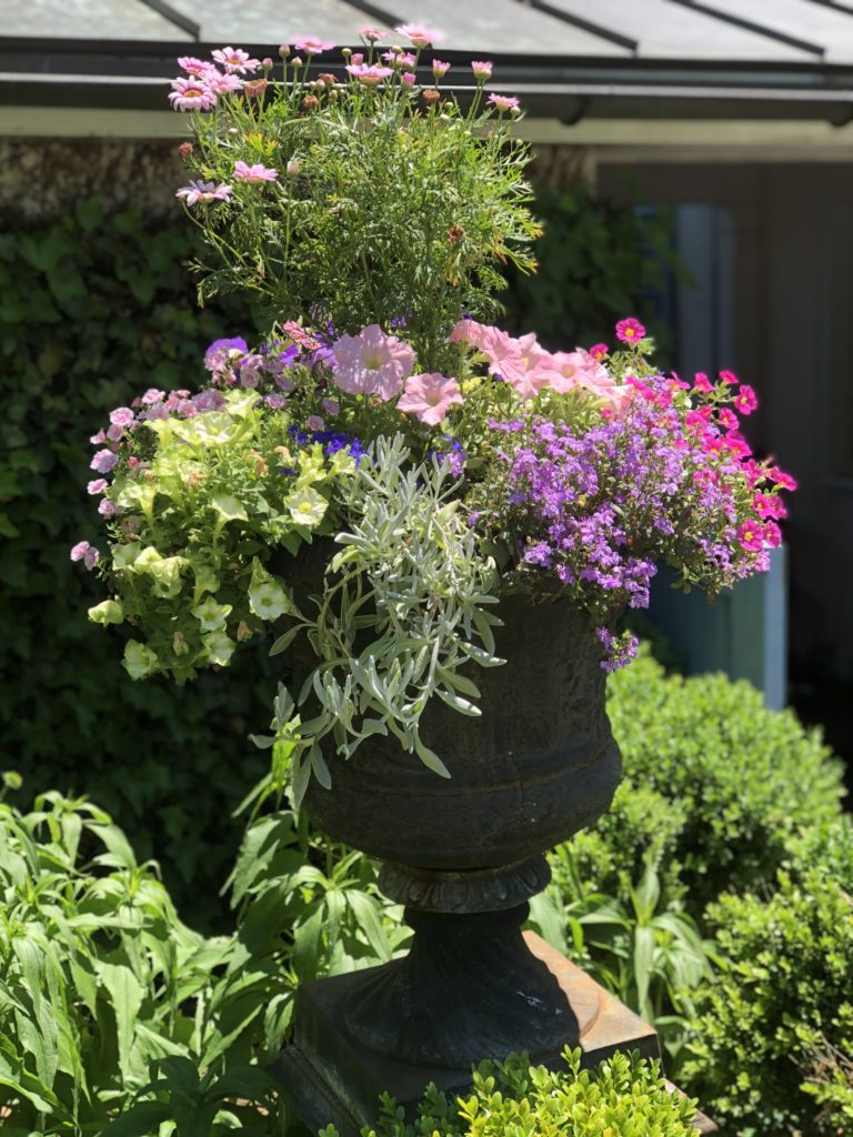 Container Gardening Tips and Tricks - Celebrating the Beauty of Life ...
