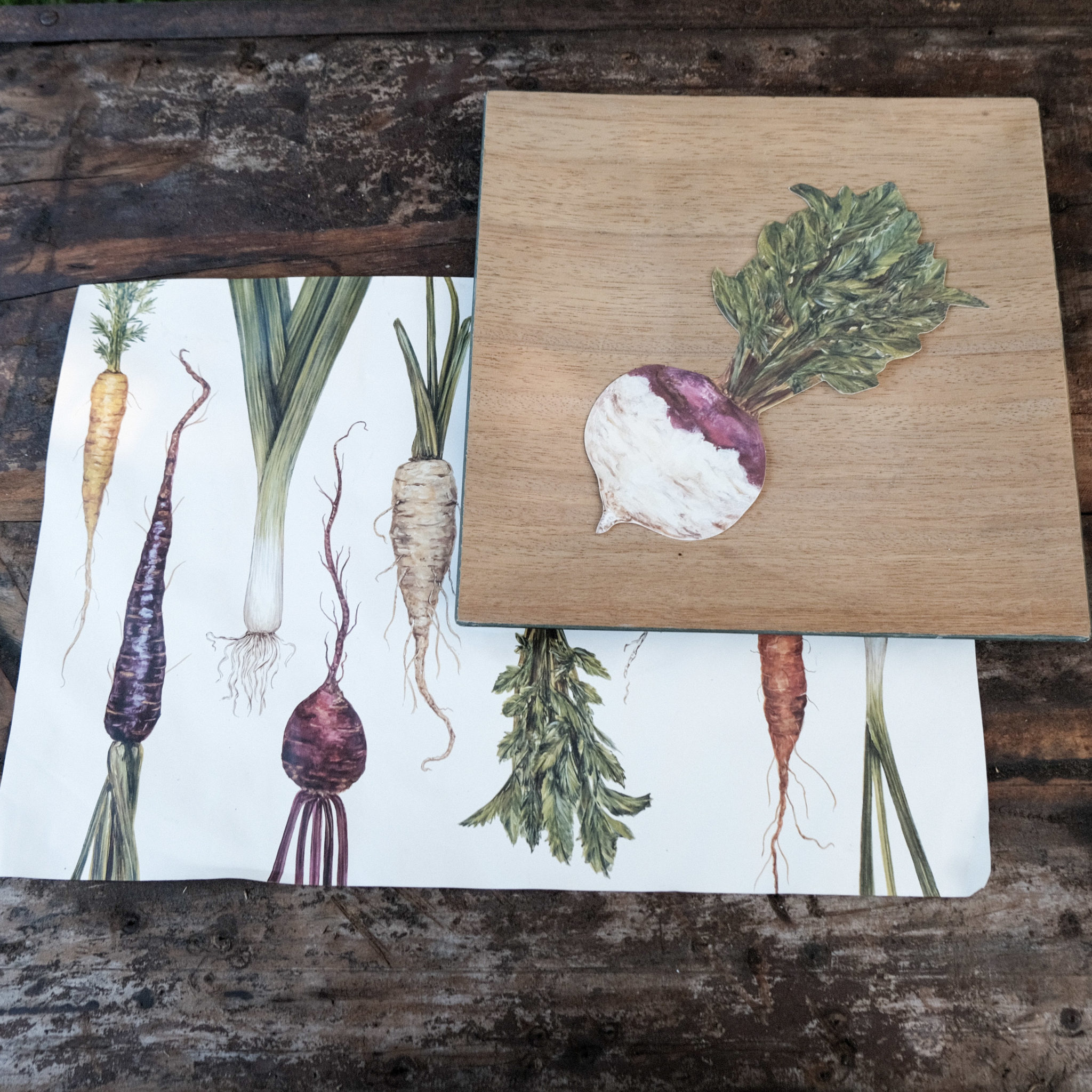 Setting the Summer Table - Celebrating the Beauty of Life, Past & Present