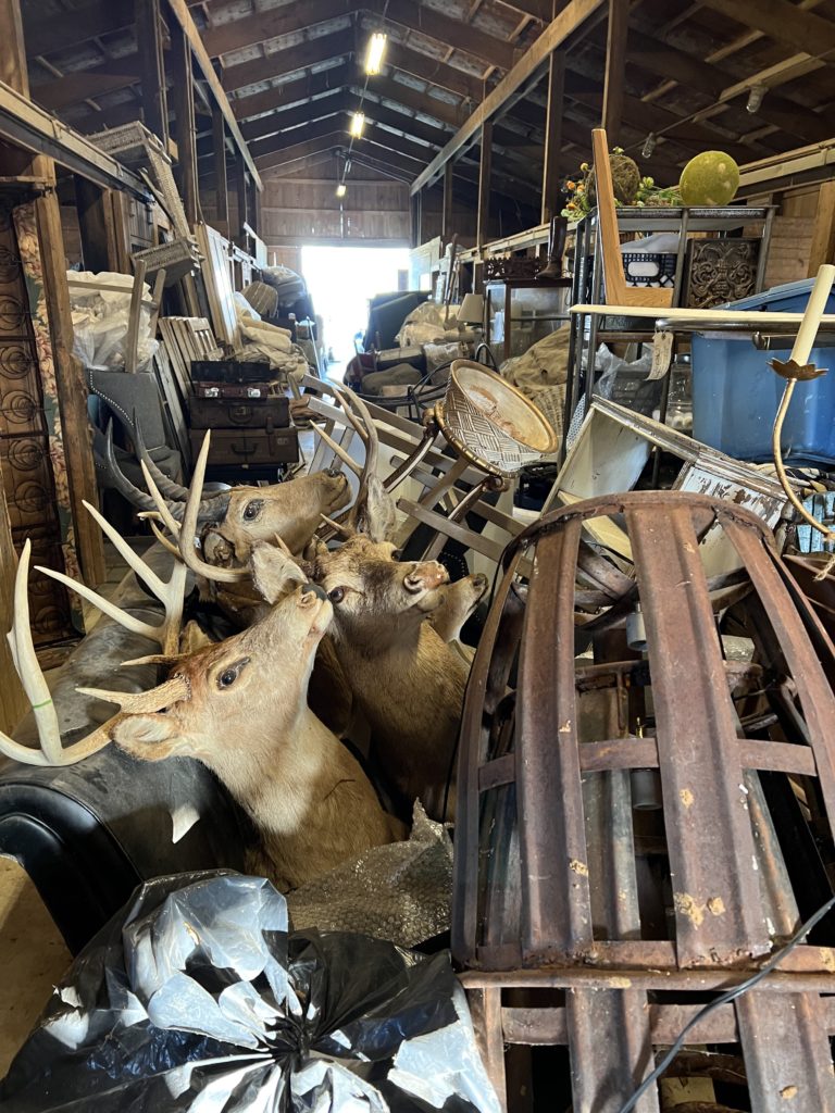 Women Who Inspire Us - A Letter from Caroline Verschoor of Ekster ...